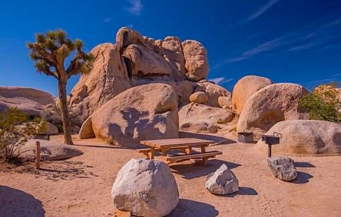 RV Camping in Joshua Tree: Ultimate Campground Guide for 2025