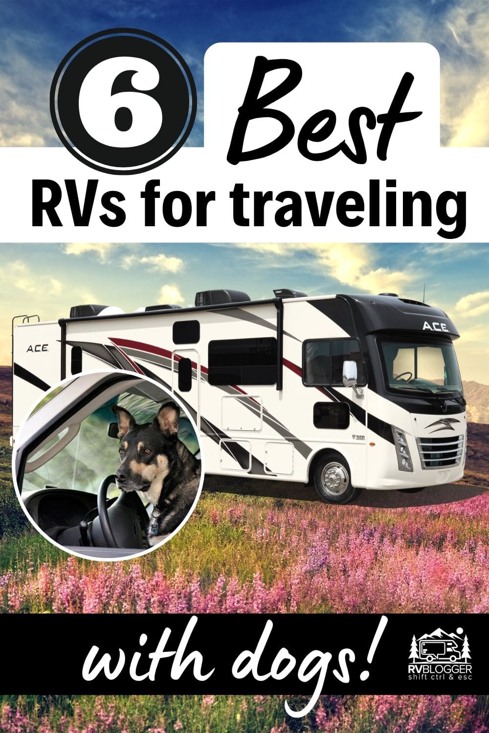8 Best RVs for Traveling with Dogs – RVBlogger
