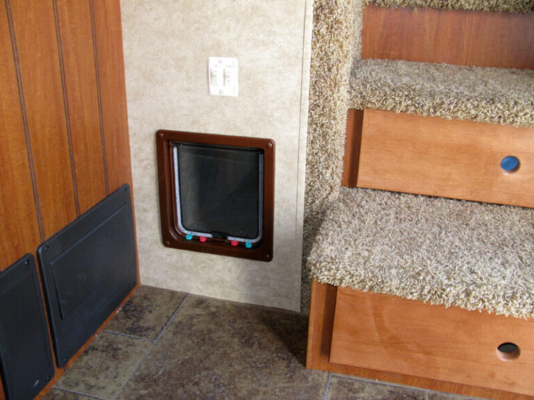 How to Make Your RV Cat Friendly – RVBlogger