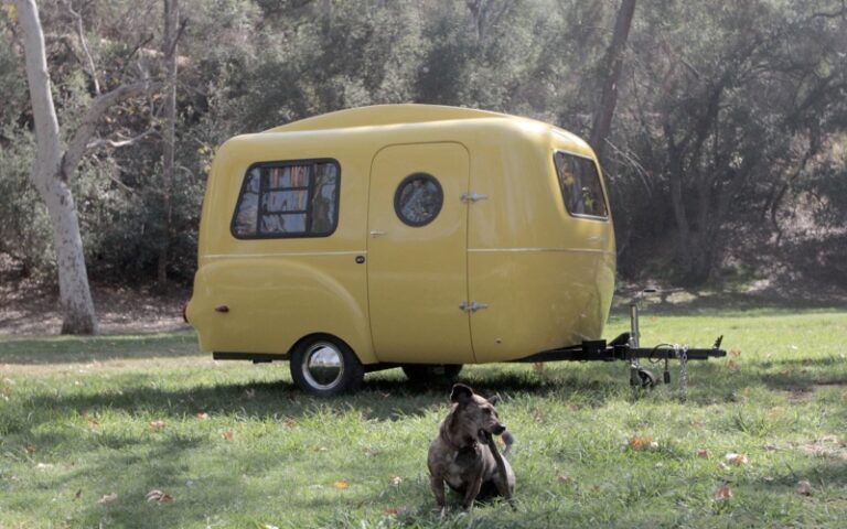 8 Best RVs for Traveling with Dogs – RVBlogger