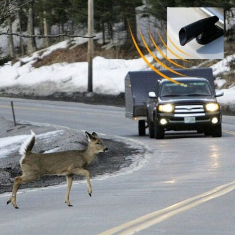 Does A Deer Warning Whistle on an RV Really Work? – RVBlogger